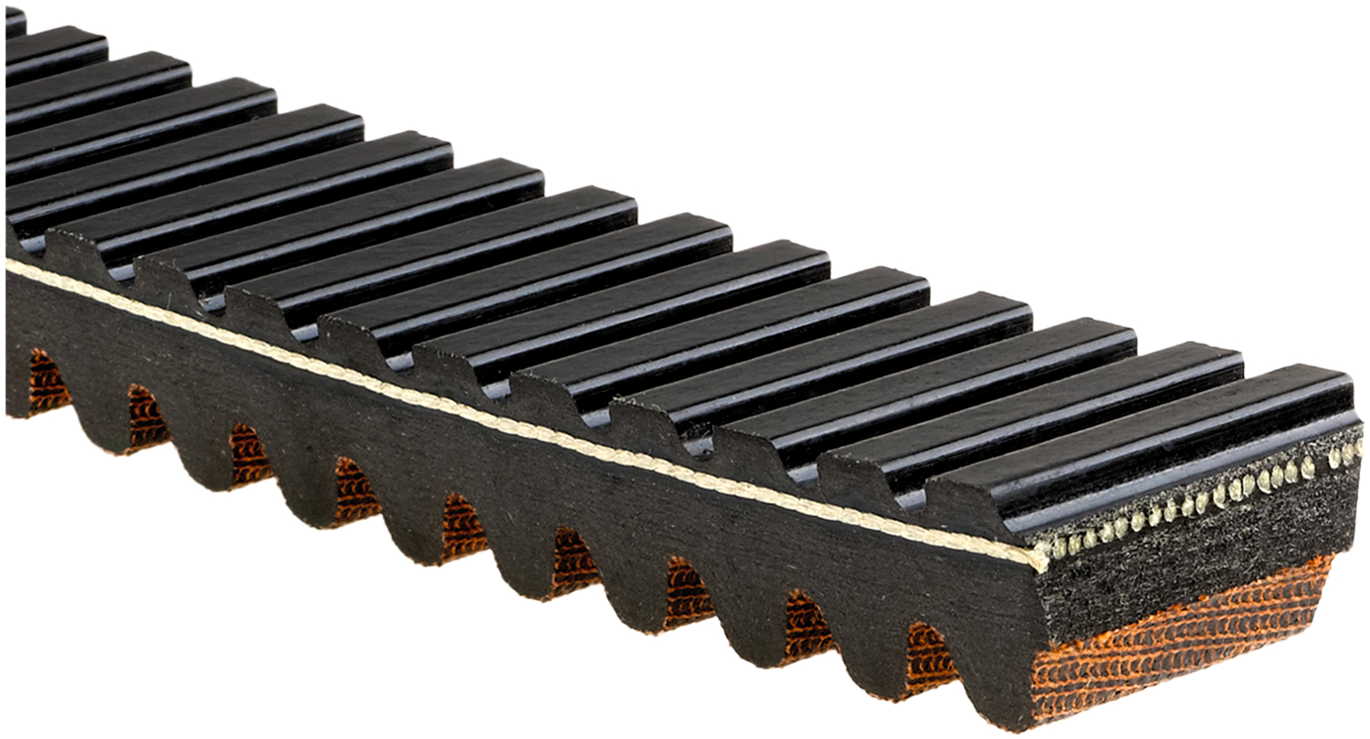 Recreational Vehicle Belts